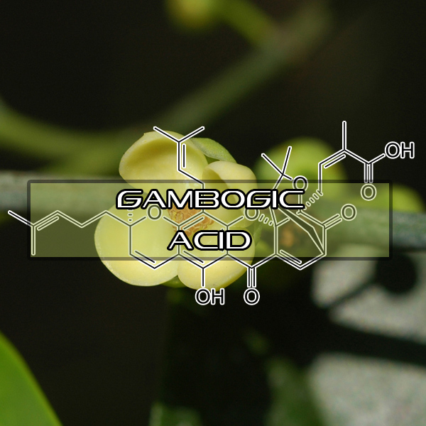 Benefits of Gambogic Acid | Dry Fasting | Activate Your Super Powers!