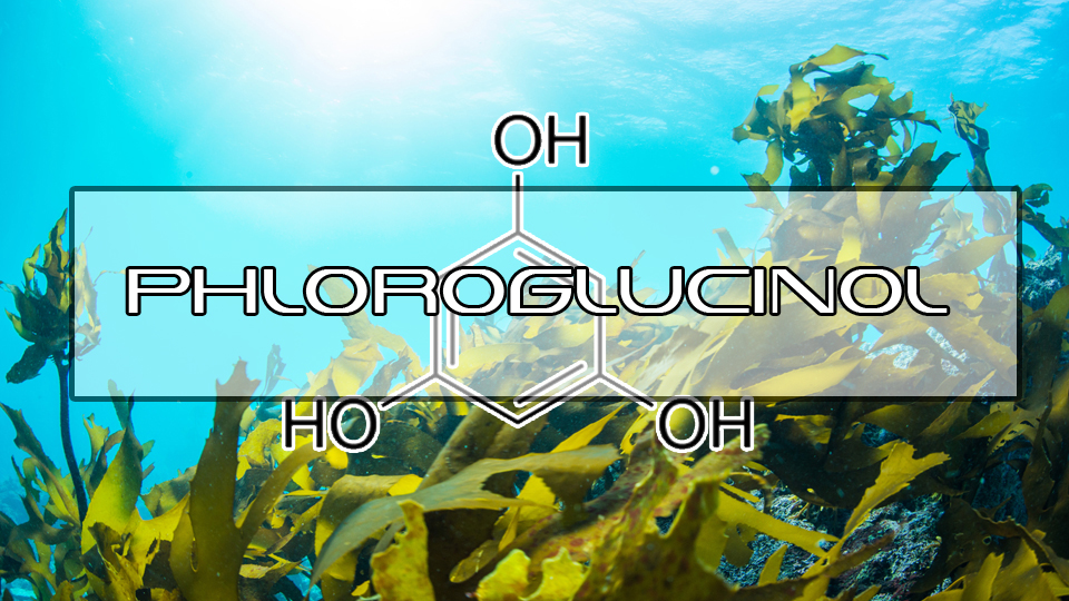 Benefits of Phloroglucinol | Dry Fasting | Activate Your Super Powers!
